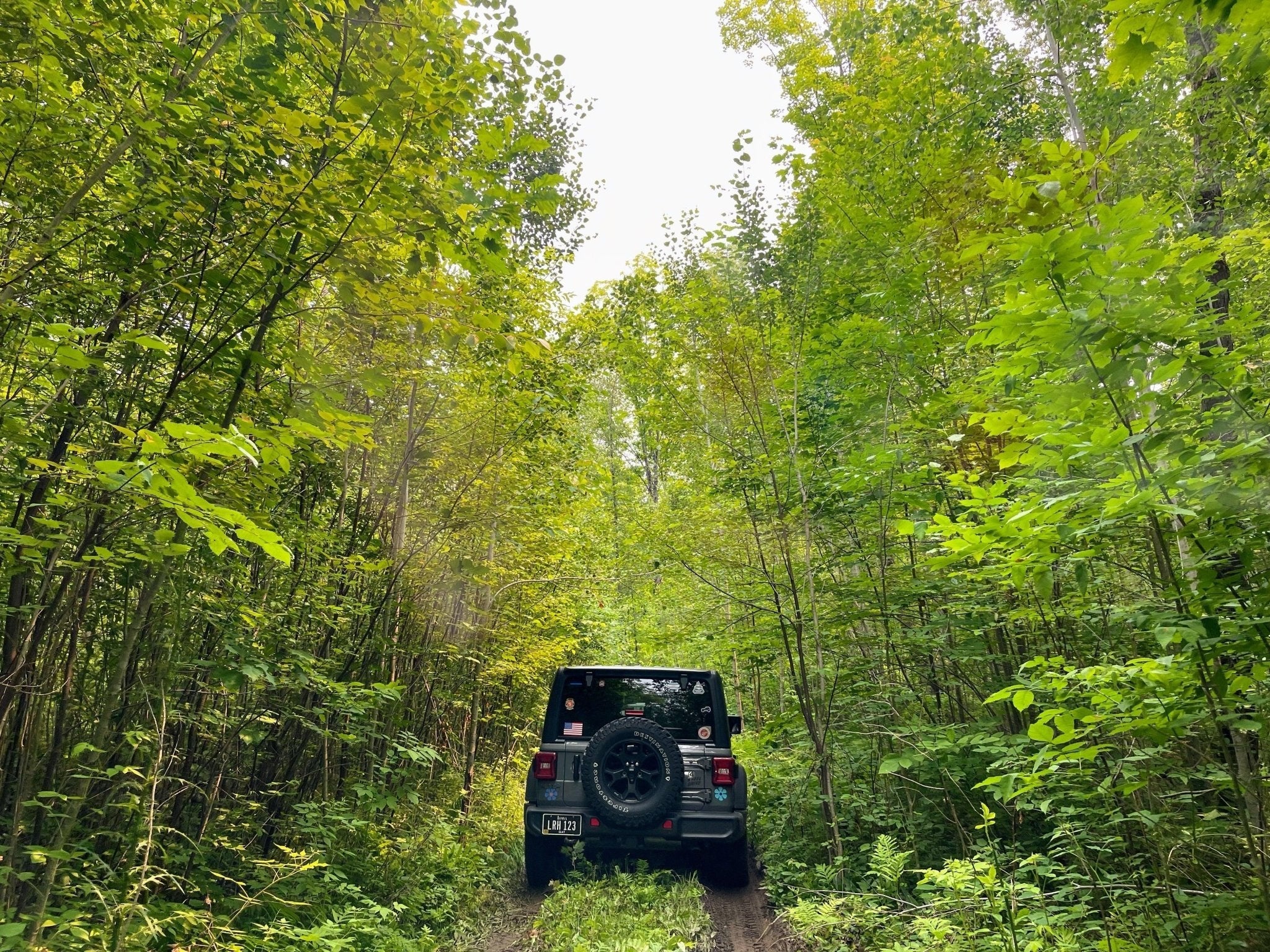 Skills for Reading Off-Road Maps: The Art of Navigation - Know more!